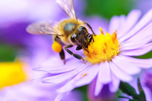 Secure Vendor Remote Access Solution | SSH