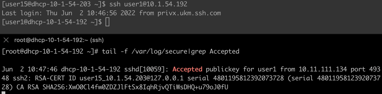 Passwordless and Keyless SSH Demystified
