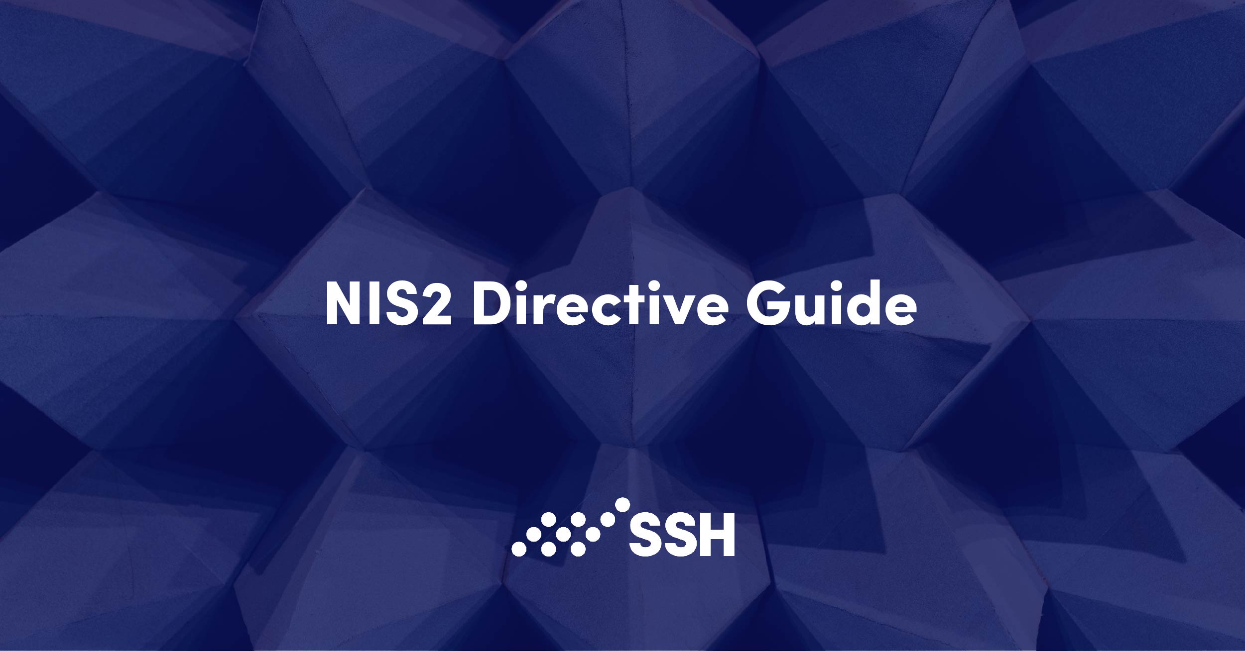 A Guide to the NIS2 Directive